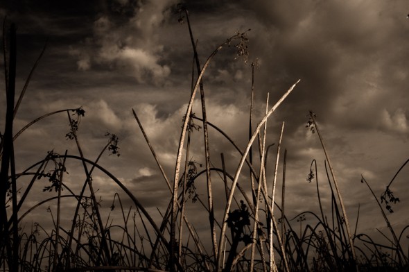 What is a Photo with Meaning? | Karl Sutphin Photography